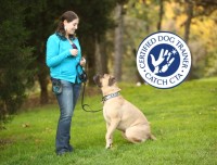 Courses and Tuition - CATCH Canine Trainers AcademyCATCH Canine ...