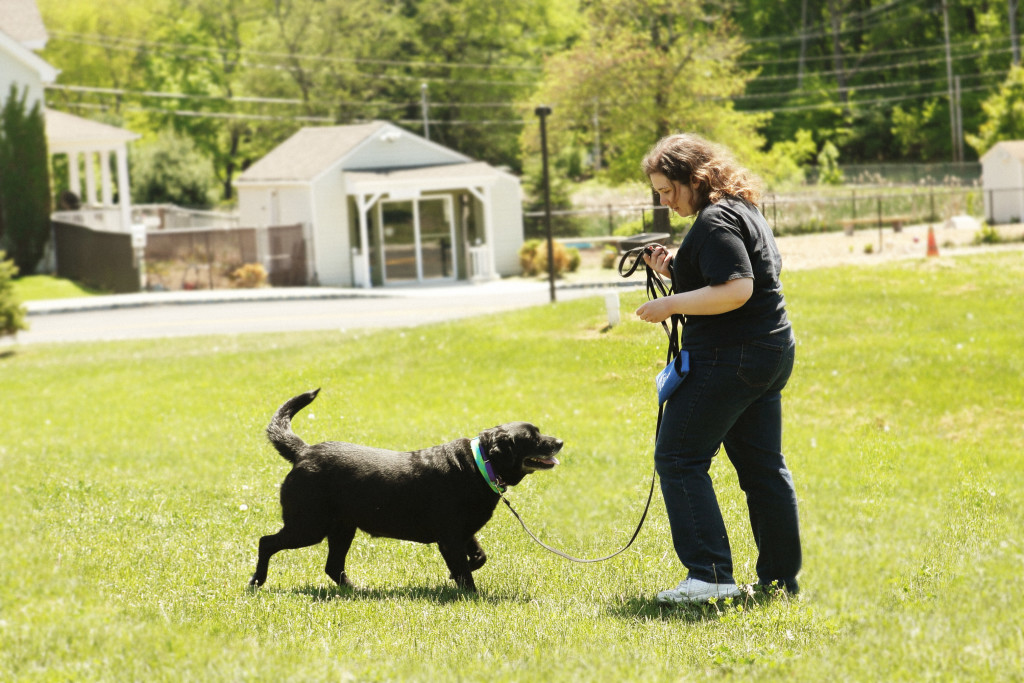 On-Campus Testimonials - CATCH Canine Trainers AcademyCATCH Canine ...