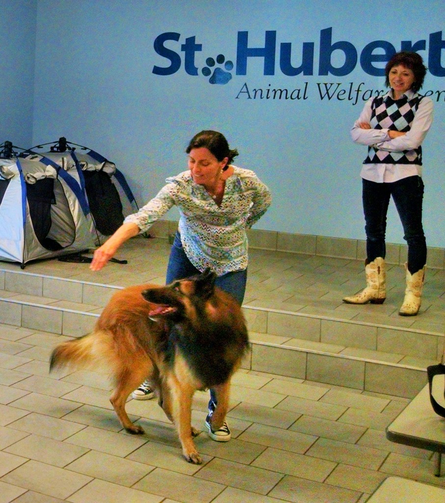 On-Campus Testimonials - CATCH Canine Trainers AcademyCATCH Canine ...