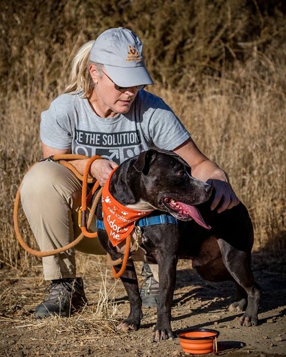 Kim - CATCH Canine Trainers AcademyCATCH Canine Trainers Academy