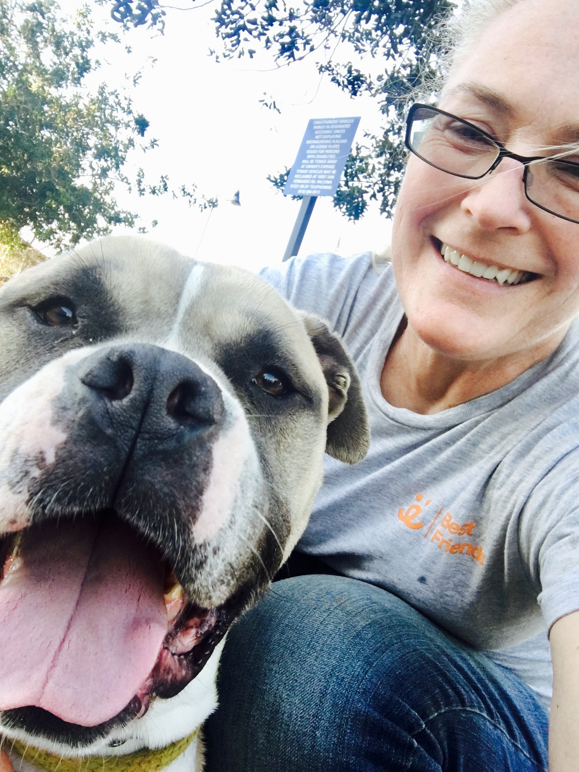 Kim - CATCH Canine Trainers AcademyCATCH Canine Trainers Academy