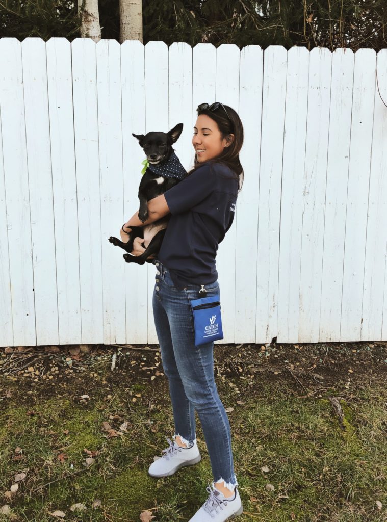 Grace - CATCH Canine Trainers AcademyCATCH Canine Trainers Academy