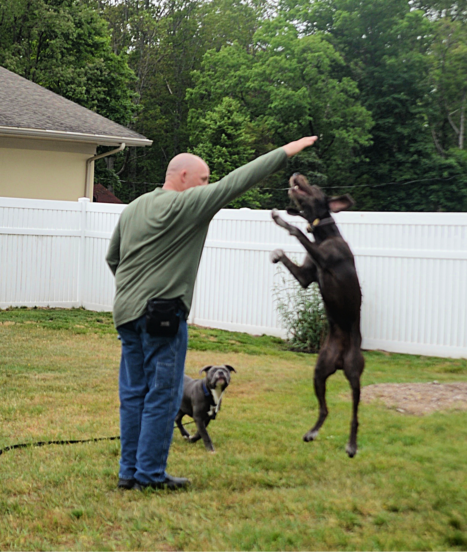 Jim - CATCH Canine Trainers AcademyCATCH Canine Trainers Academy