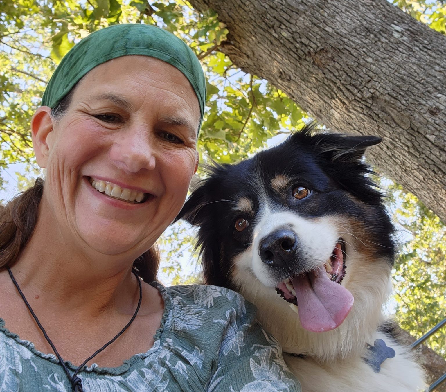 CATCH On! Blog - CATCH Canine Trainers AcademyCATCH Canine Trainers ...