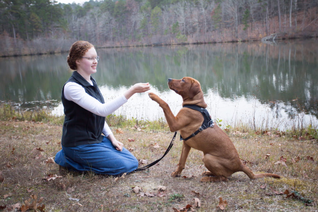 Grace - CATCH Canine Trainers AcademyCATCH Canine Trainers Academy