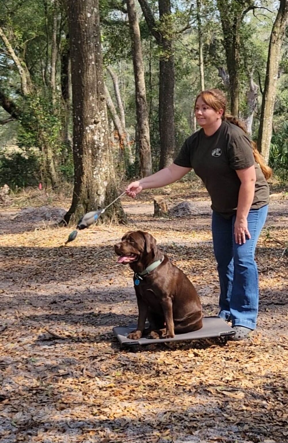 Amy R - CATCH Canine Trainers AcademyCATCH Canine Trainers Academy