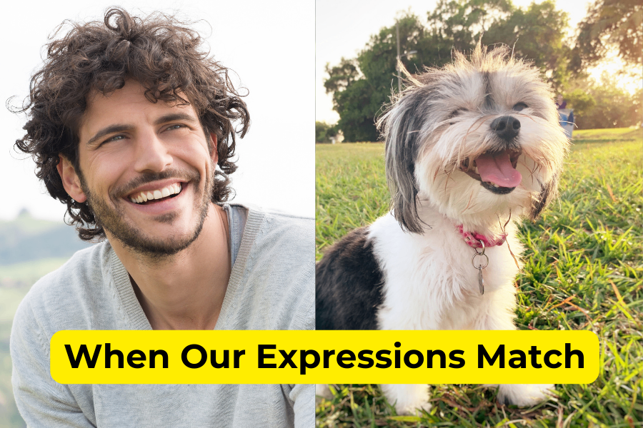 Dog Facial Expressions Are Not Unlike Our Own | CATCH Canine Trainers ...