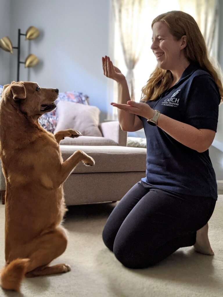 CATCH Community Online Workshops - CATCH Canine Trainers AcademyCATCH ...
